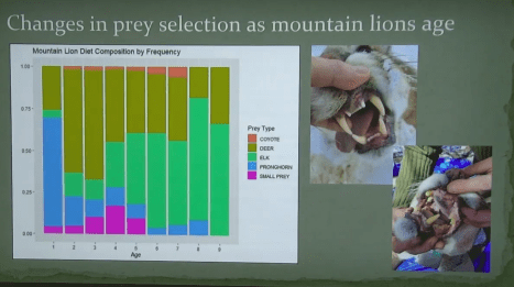 Leslie Patten Books: Wild Places, Sacred Spaces