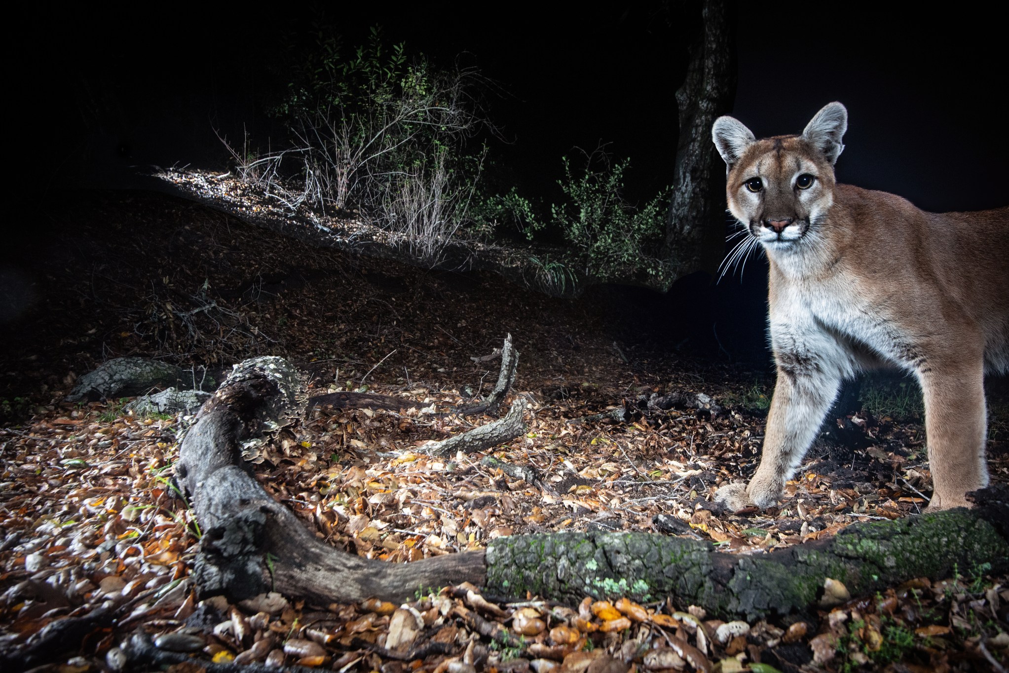 Leslie Patten Books: Wild Places, Sacred Spaces